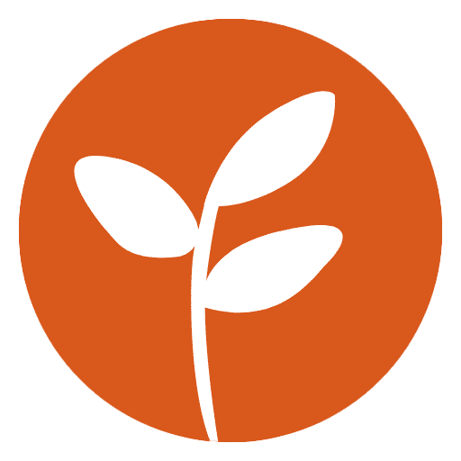 Raccolta differenziata giocattoli: buttare o riciclare?